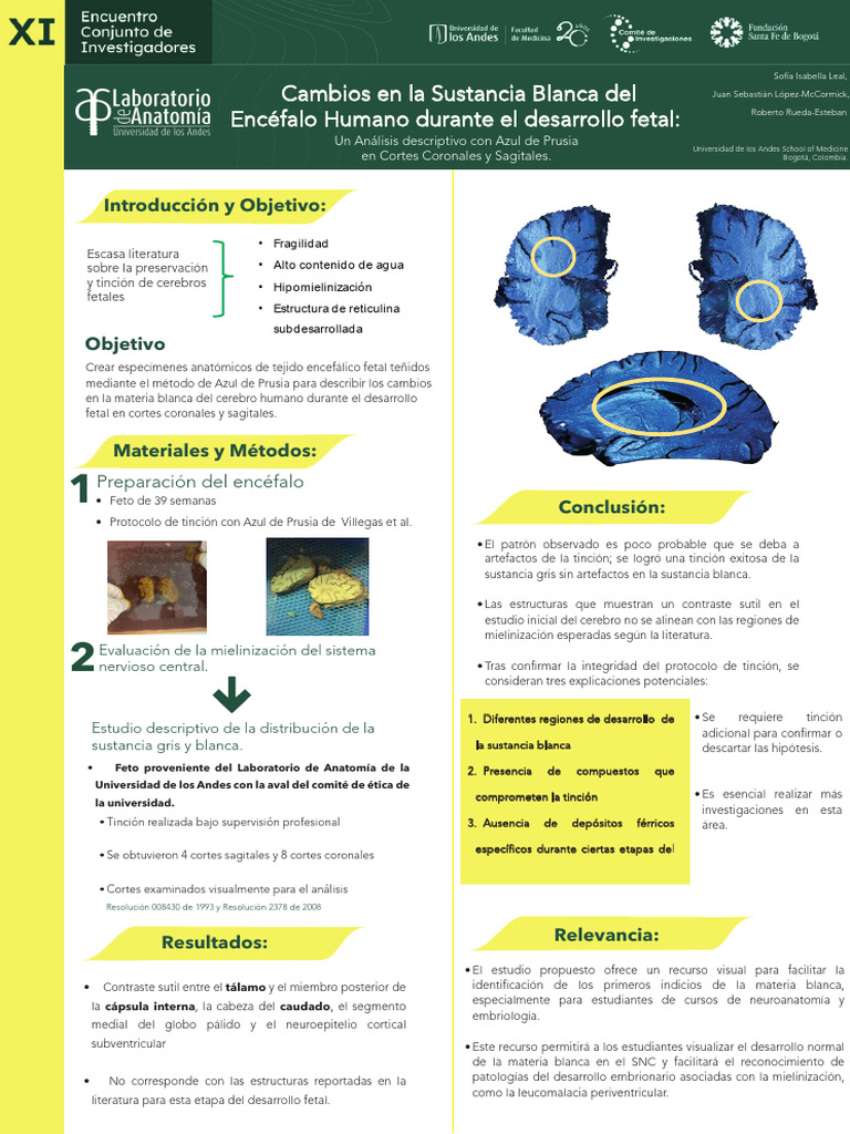 Poster Sofi | PDF