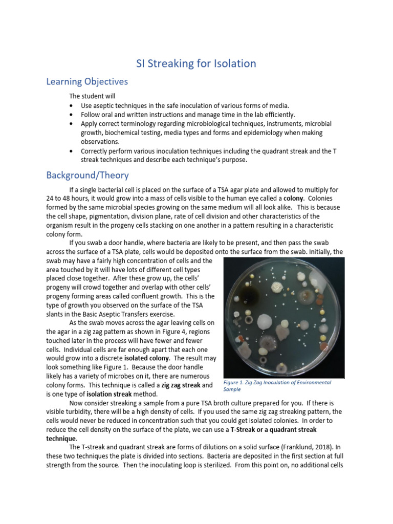 1.3-SI Streaking For Isolation | PDF