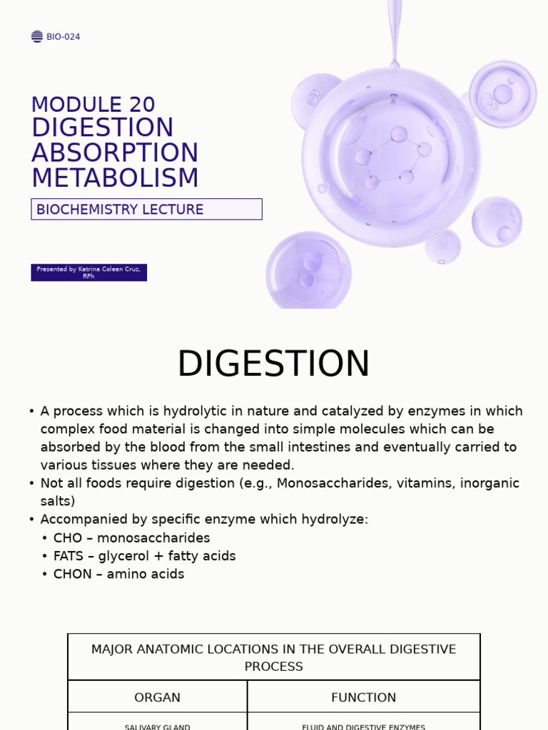Module 20 21 | PDF | Digestion | Stomach