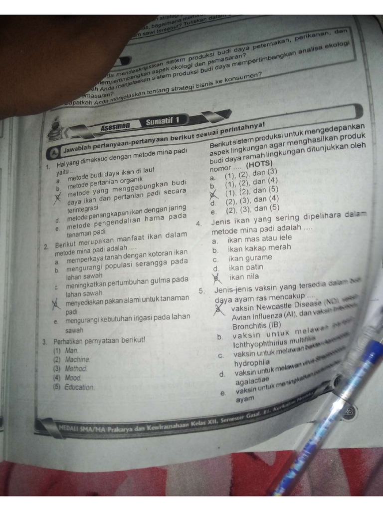 Asesmen Sumatif 1 | PDF