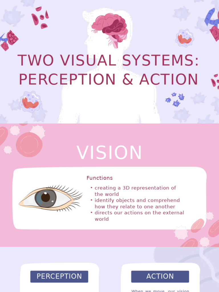 Two Visual Systems: Perception and Action | PDF