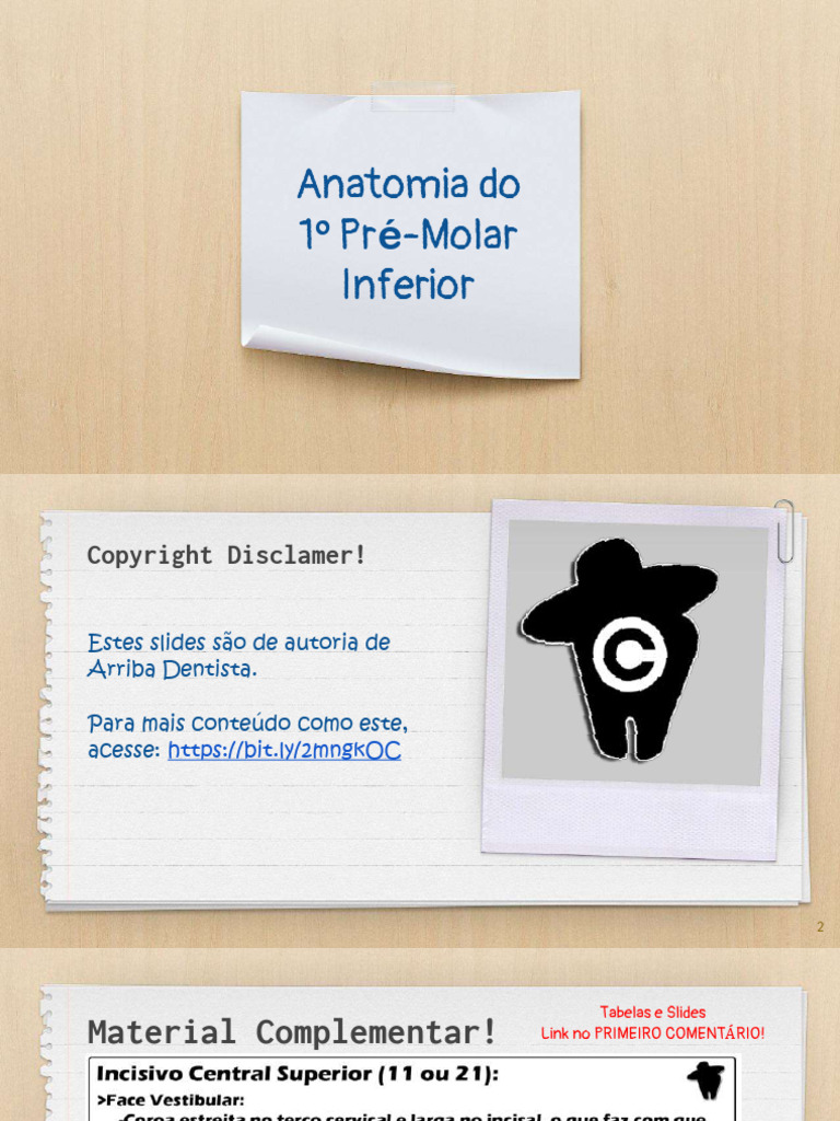 Primeiro Pré-Molar Inferior | PDF