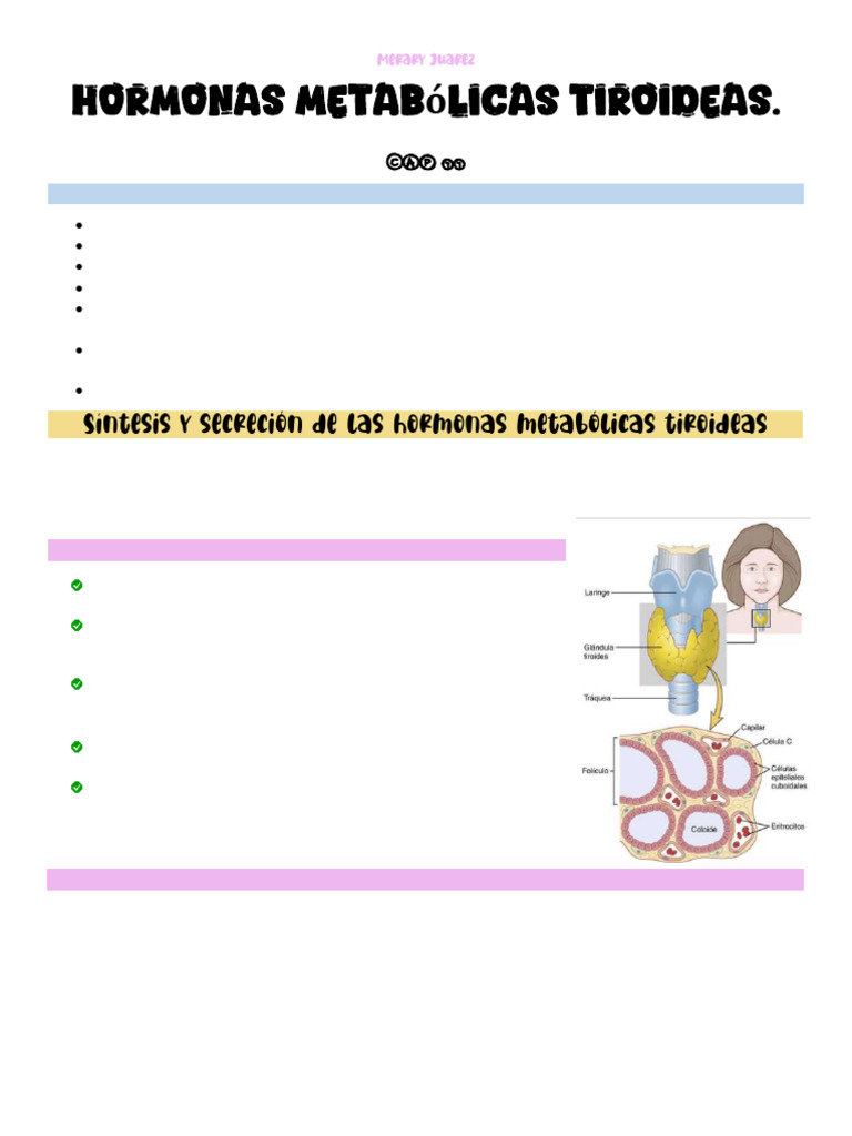 Cap 77 Hormonas Tiroideas Guyton | PDF