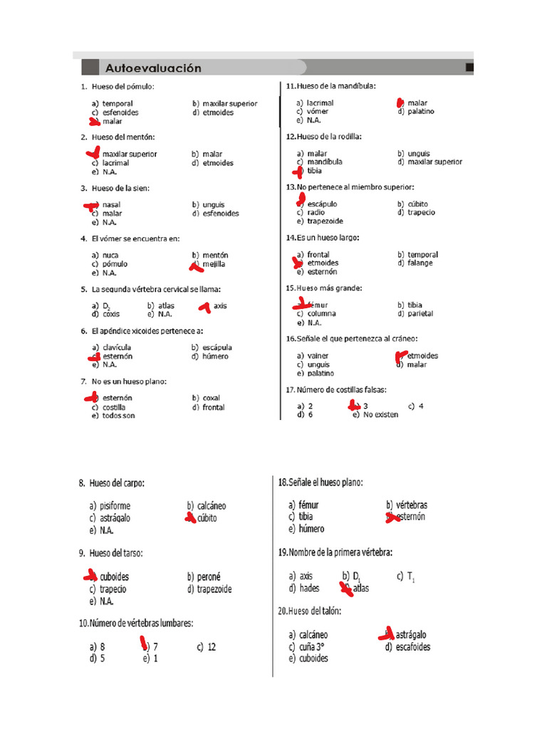 Cta | PDF