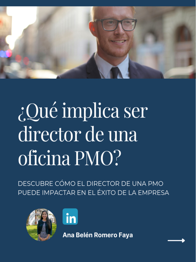 Director de Pmo | PDF
