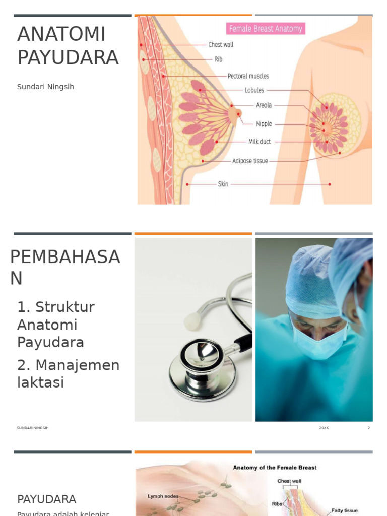 Anatomi Payudara | PDF