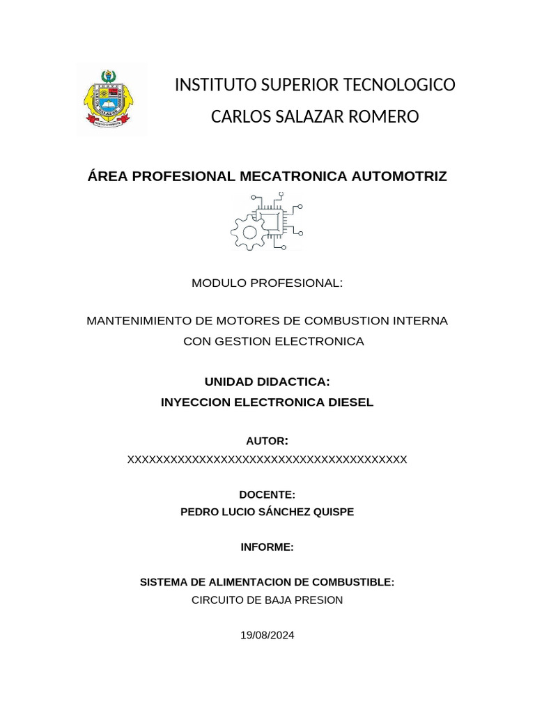 Formato para Presentacion de Informes | PDF