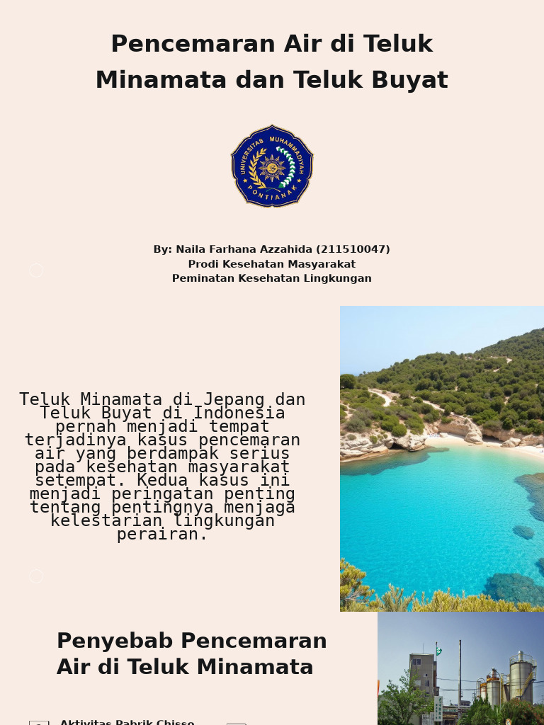 Teluk Minamata & Teluk Buyat NEW | PDF