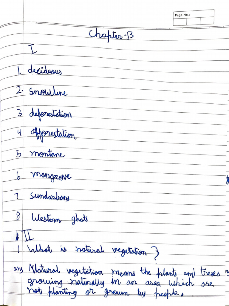 Social Studies Ch-13 Notes | PDF