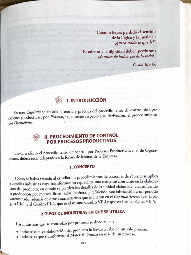 Procedimientos de CTRL Por Procesos Productivos | PDF