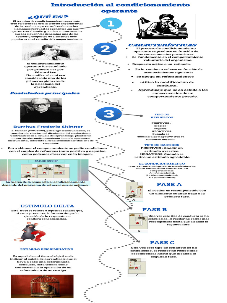 Infografía Cronológica Línea de Tiempo Timeline Sencillo Moderno ...