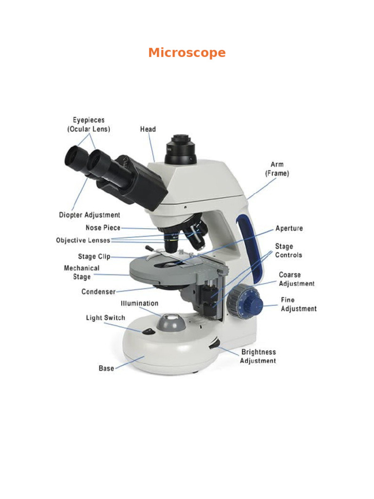Microscope | PDF