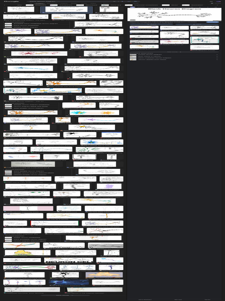 Blank Neuron Diagram - Google Search | PDF