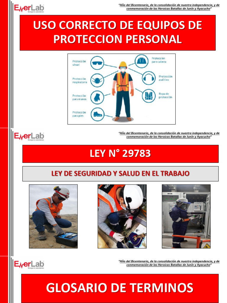 Capacitacion Uso Correcto de Equipos de Proteccion Personal | PDF