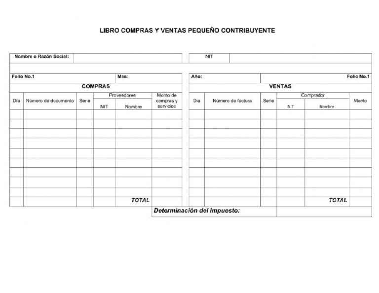 formato de libro compras y ventas | PDF