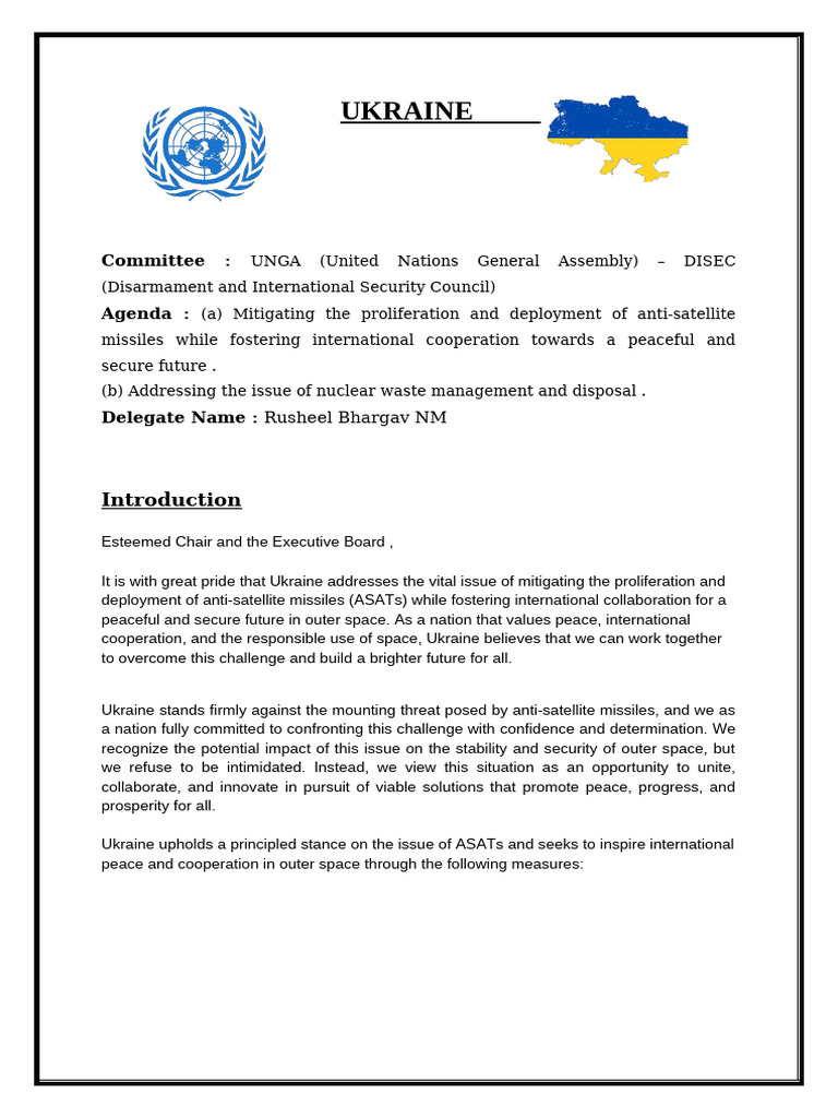 Position Paper Ukraine | PDF