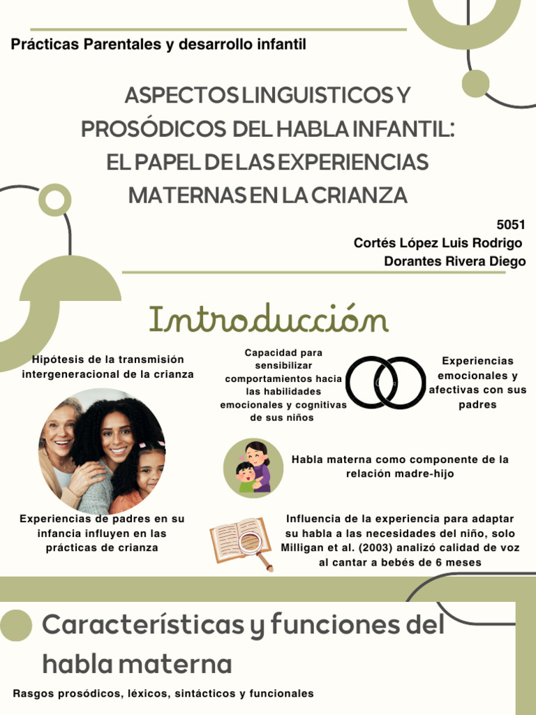 Presentación Optativa | PDF