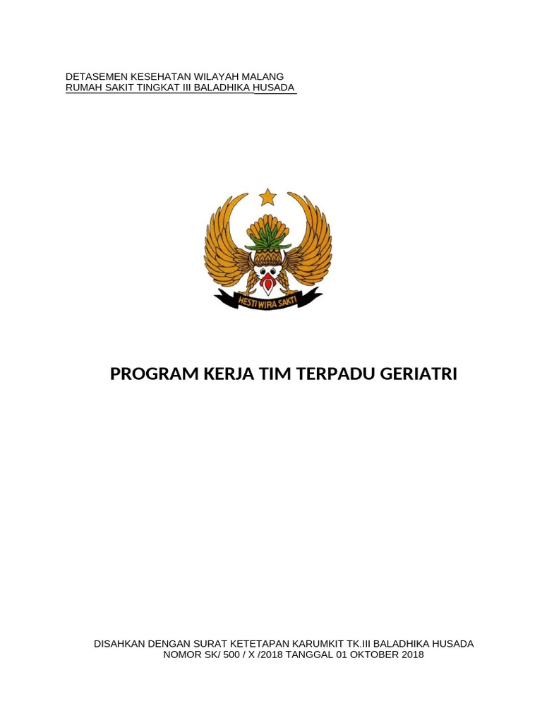 4.program Kerja Tim Terpadu Geriatri | PDF