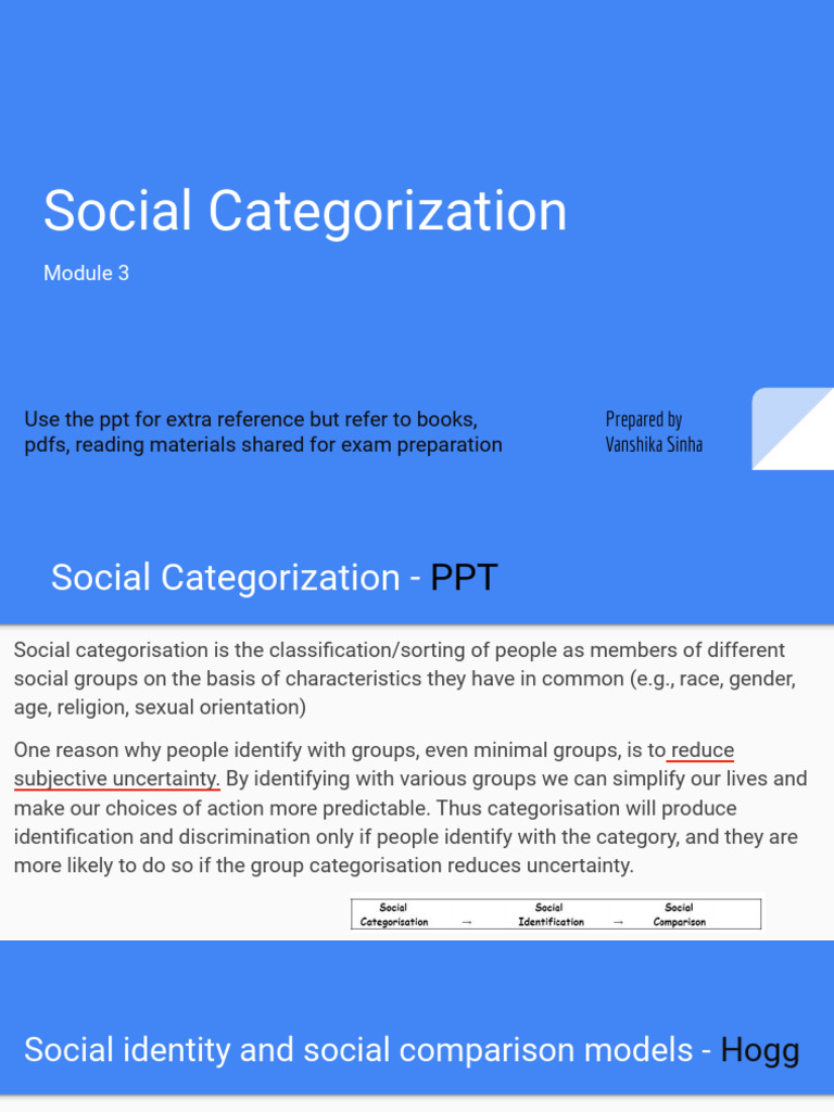 Social Categorization | PDF