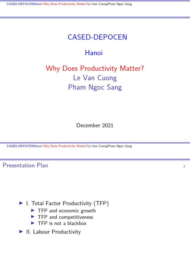 Total Factor Productivity 2021 | PDF