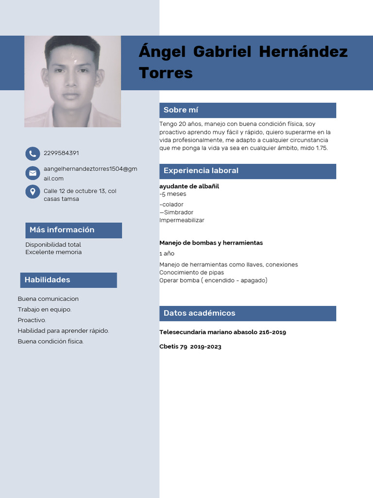 CV Angel Gabriel Hernandez Torres | PDF