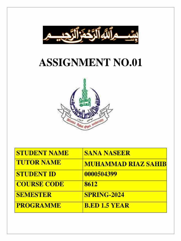 Sana Naseer 8612 | PDF