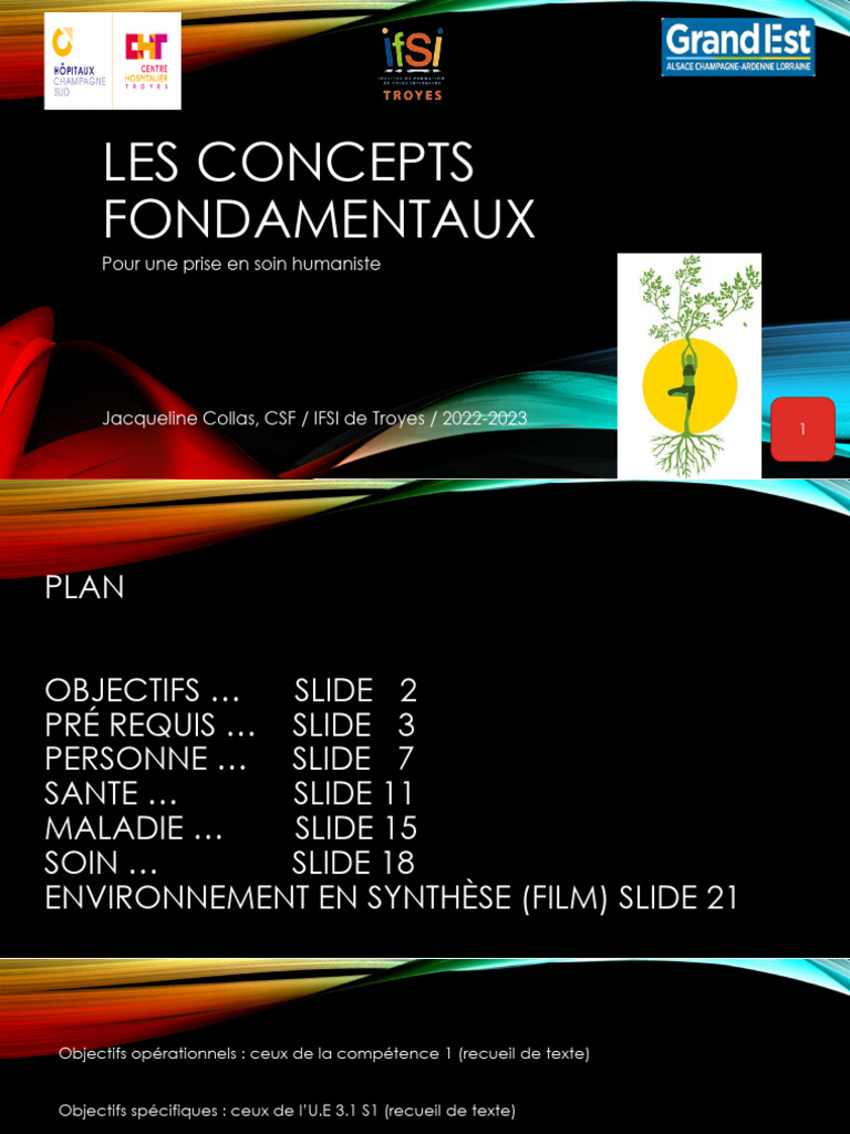 Concepts Fondamentaux Profession Infirmiere 22 | PDF
