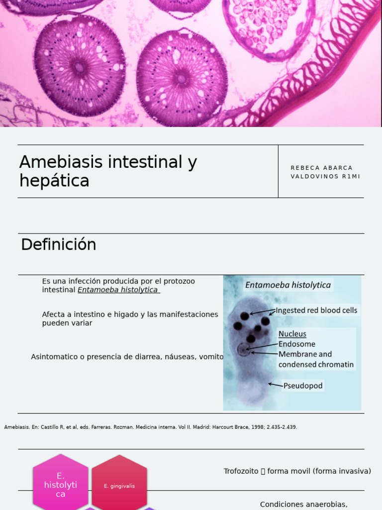 Amebiasis Intestinal | PDF