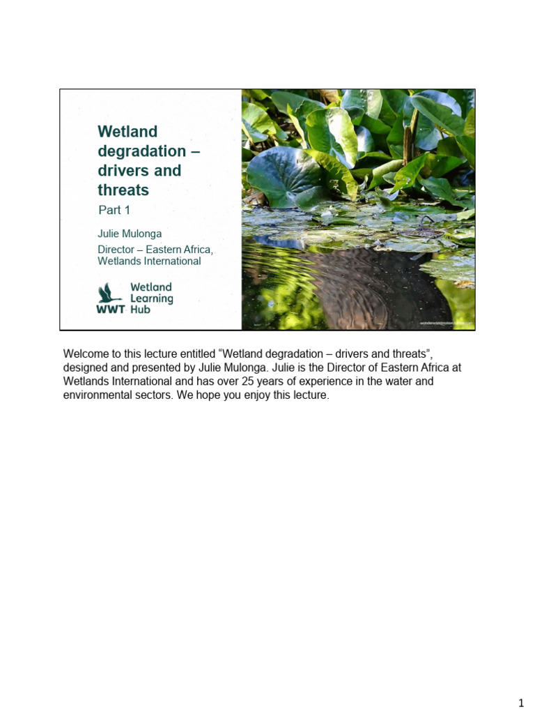 Julie Mulonga Part1 Slides | PDF