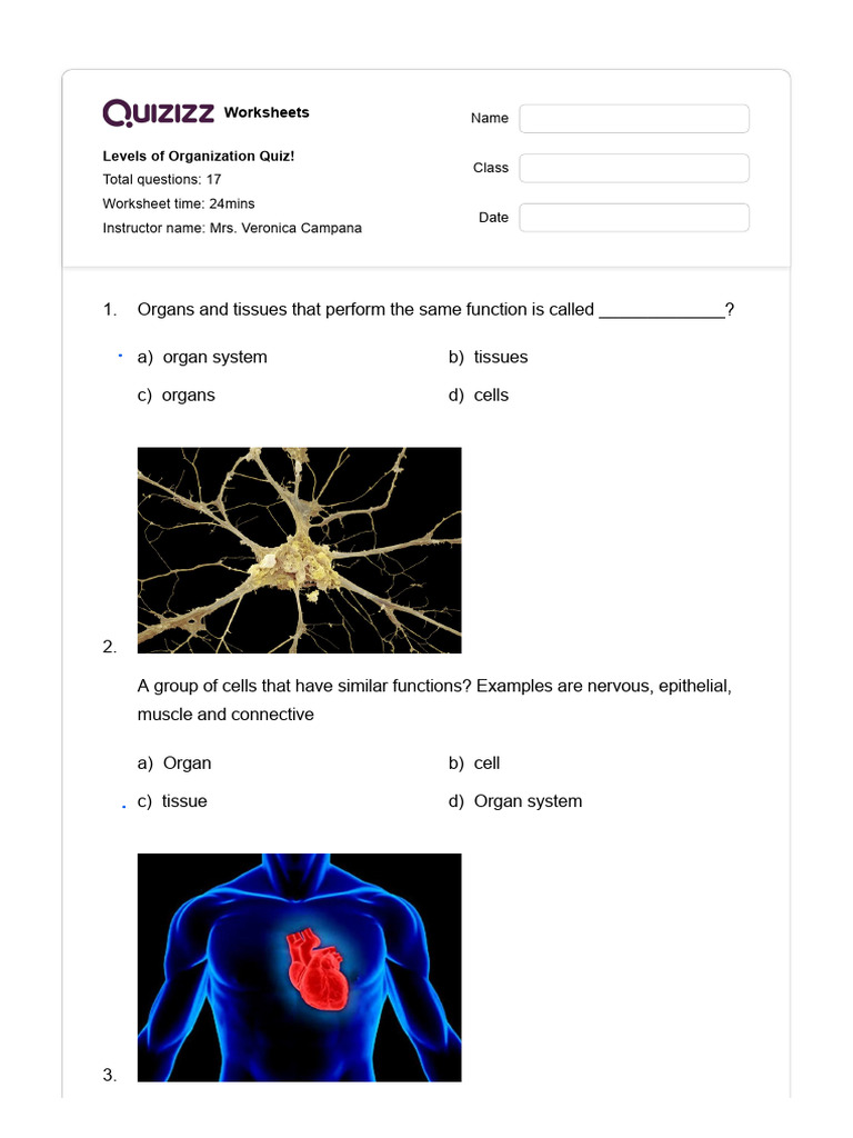 Levels of Organization Quiz! Quizizz 4 | PDF | Life | Science & Mathematics