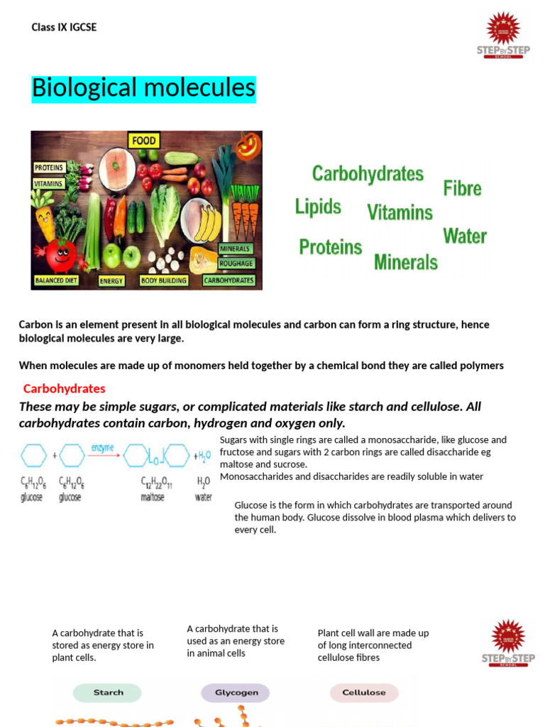 Biological Molecules | PDF