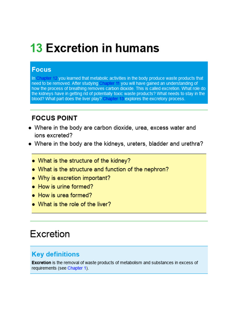 Textbook Chap. 13 Excretion in Humans | PDF