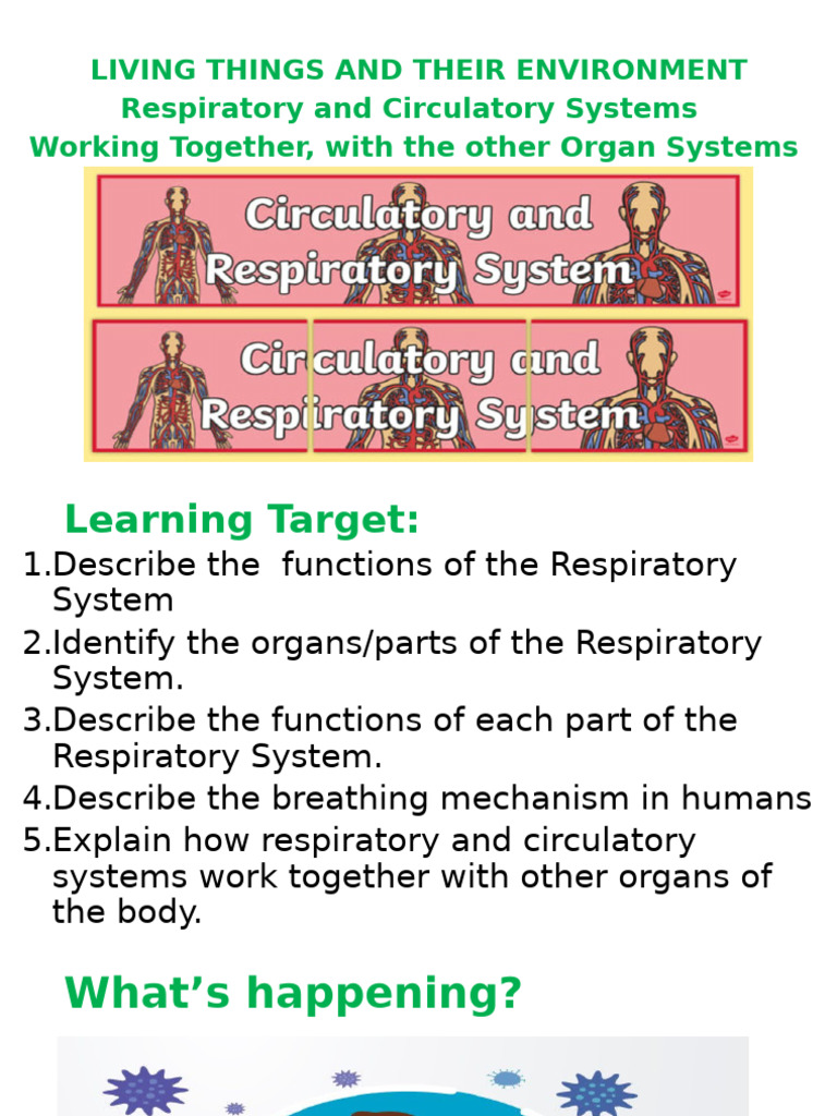 Science 9 Respiratory | PDF
