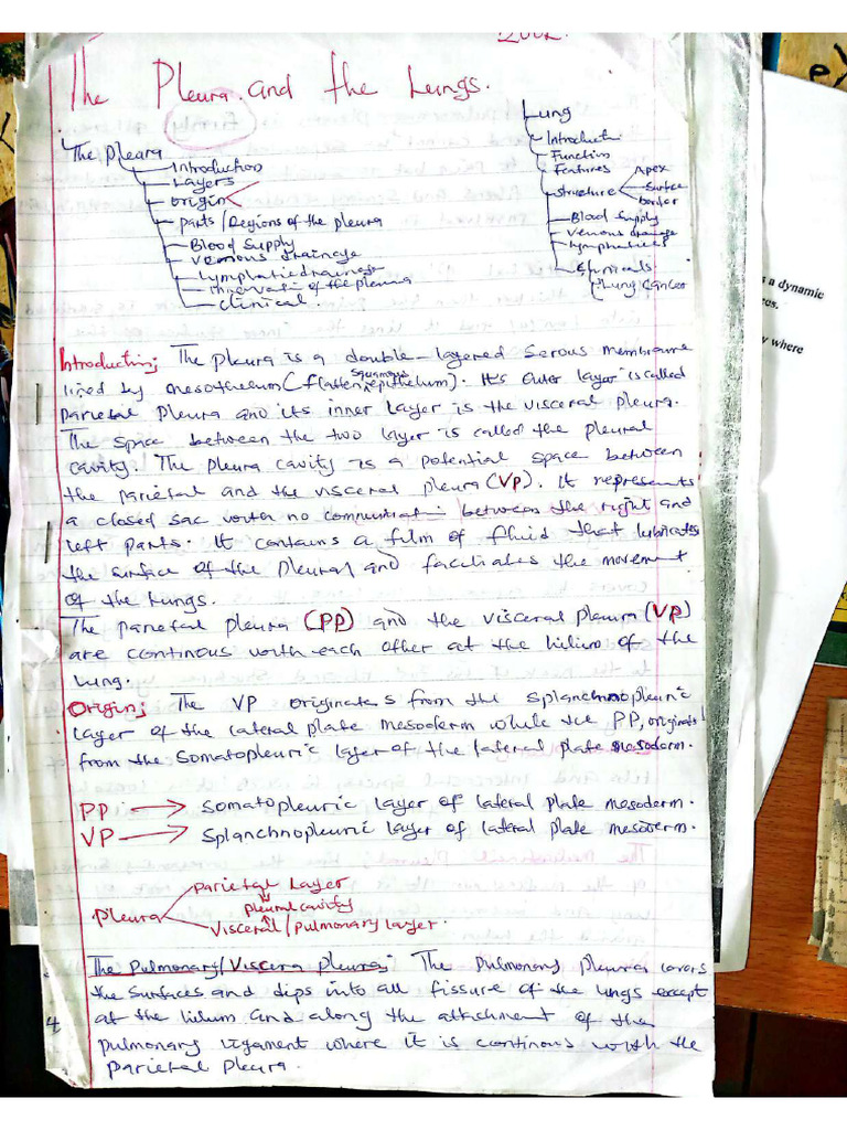 THE PLEURA AND THE LUNGS LECTURE NOTE - Frankomech (1) - Compressed 2 | PDF