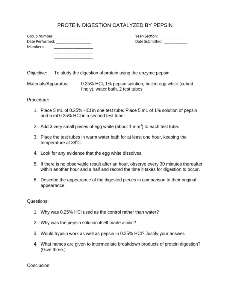 Protein Digestion Catalyzed by Pepsin | PDF