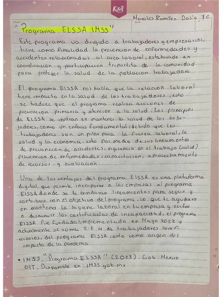 Programa ELSSA | PDF