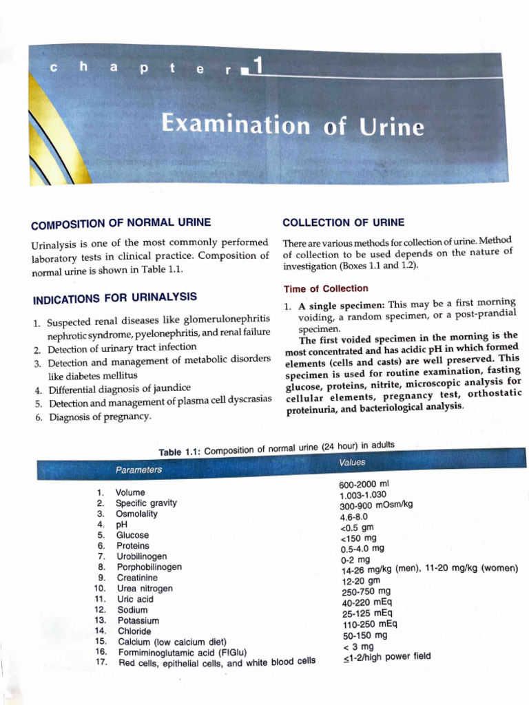 Examination of Urine PATHOLOGY | PDF