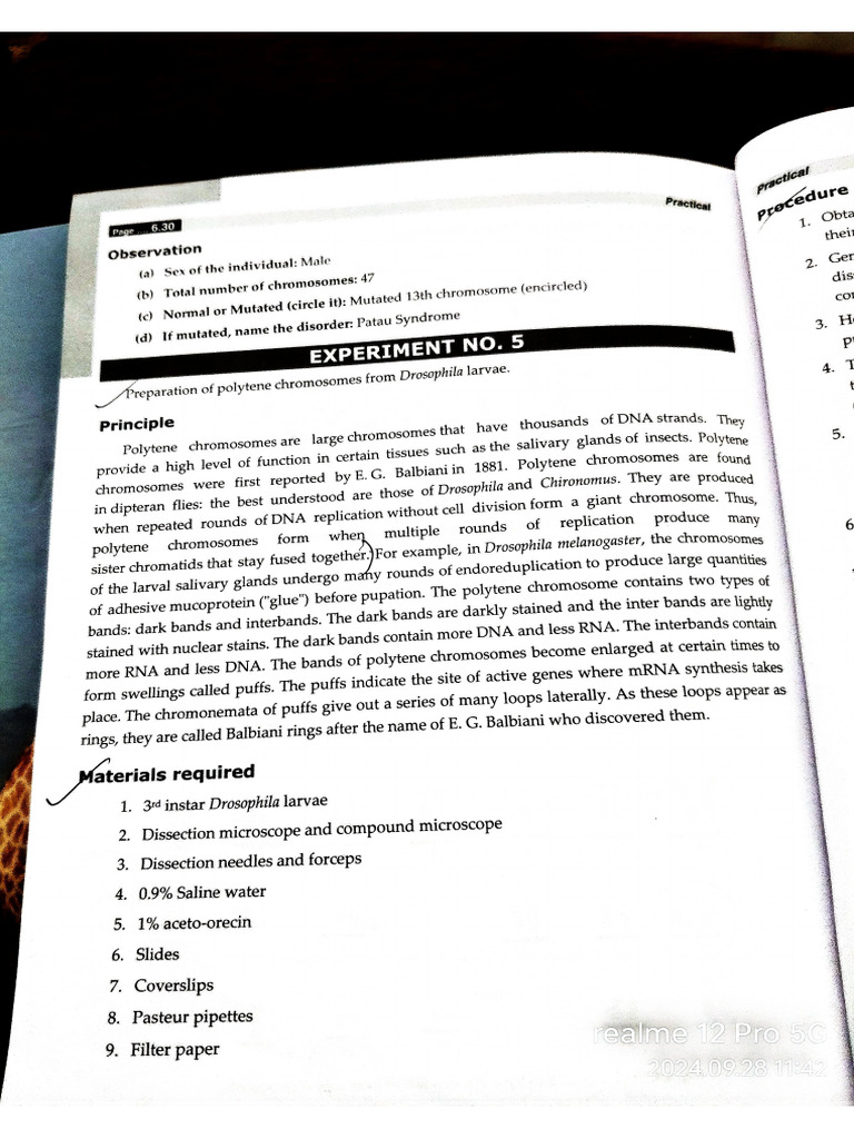 Zoology Practical 2 (3rd Semester) | PDF