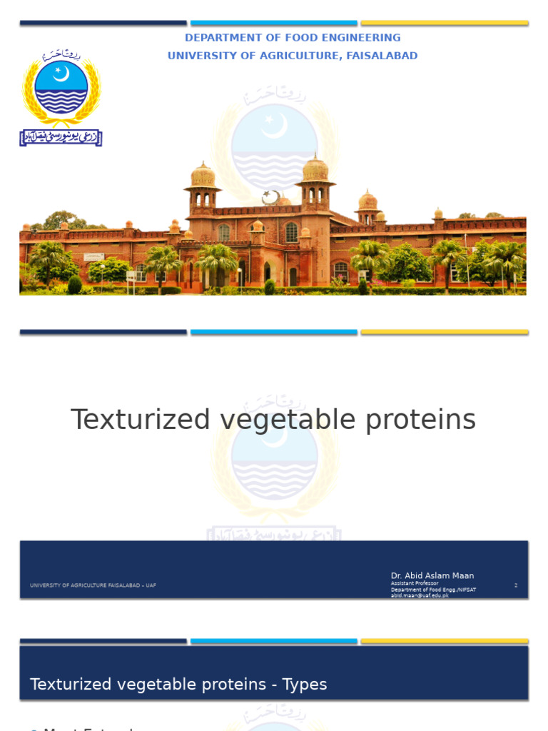 Texturized Vegetable Proteins | PDF
