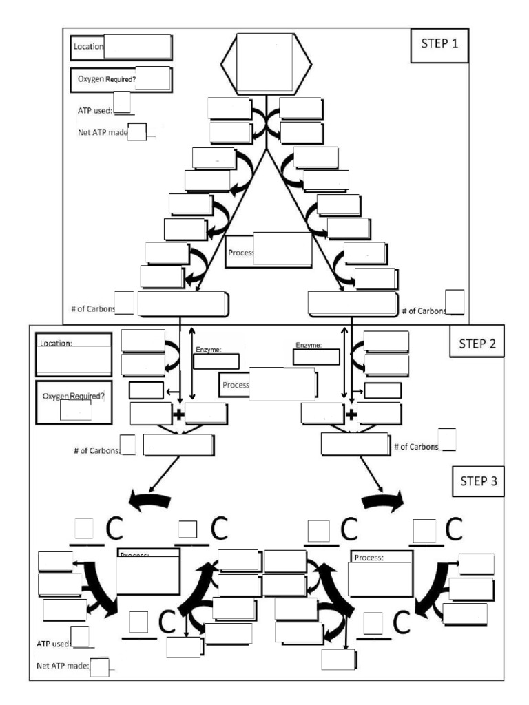 Respiration Flow Chart 2022 | PDF
