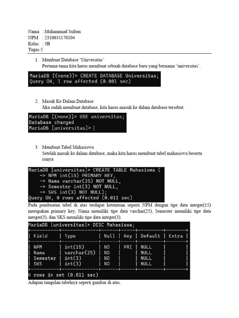 Muhammad Sulton 104 3B | PDF
