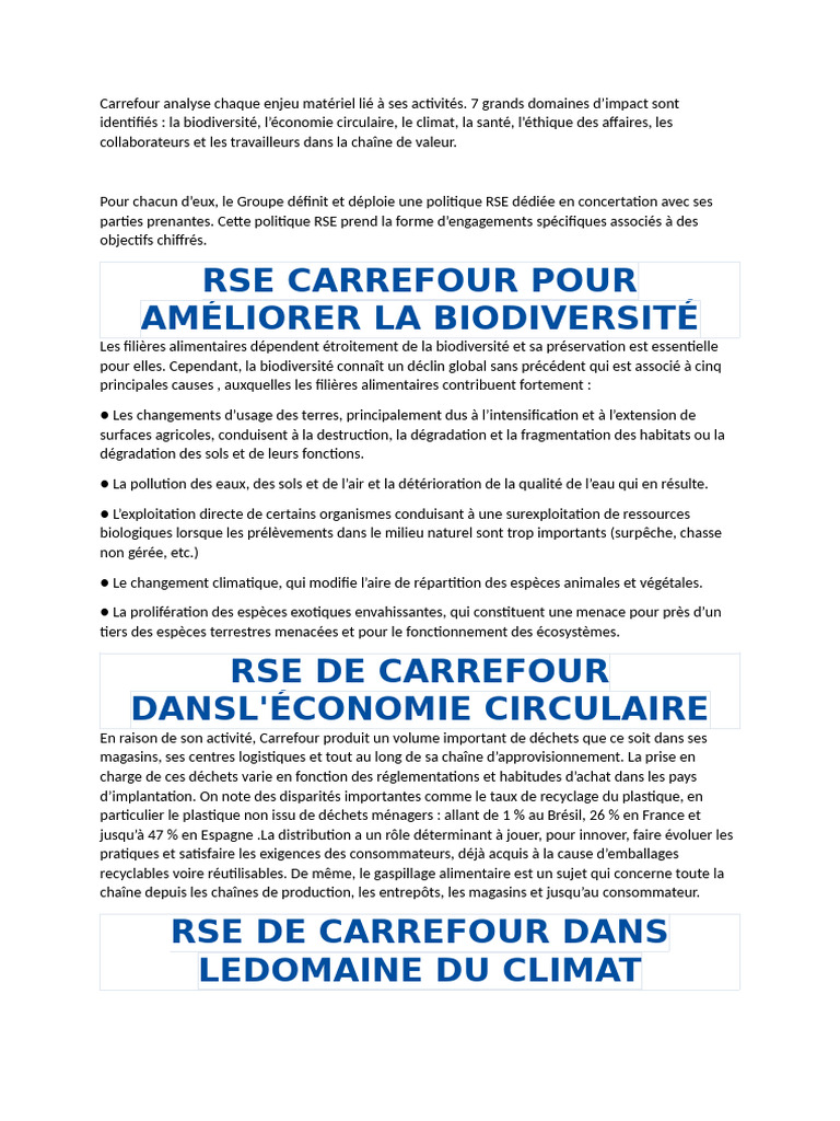 Carrefour S | PDF