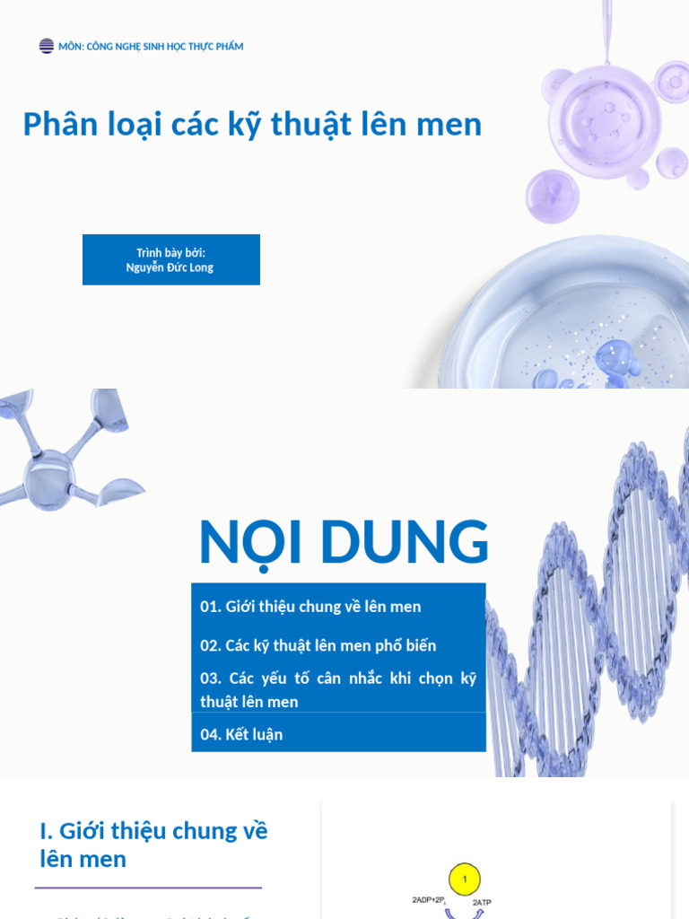 Các loại kỹ thuật lên men | PDF