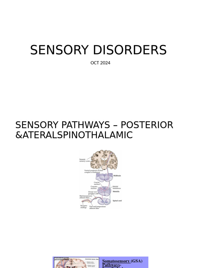 Sensory Disorders | PDF