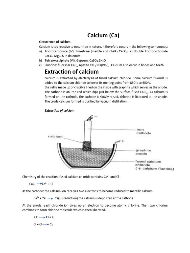 856 Calcium | PDF