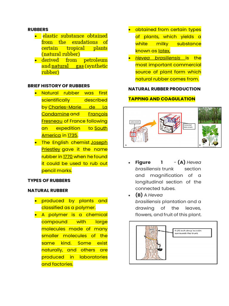 Rubbers (Outline) | PDF