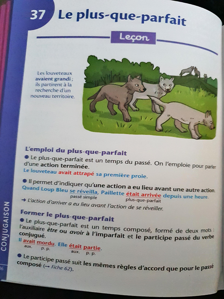 Plus Que Parfait | PDF