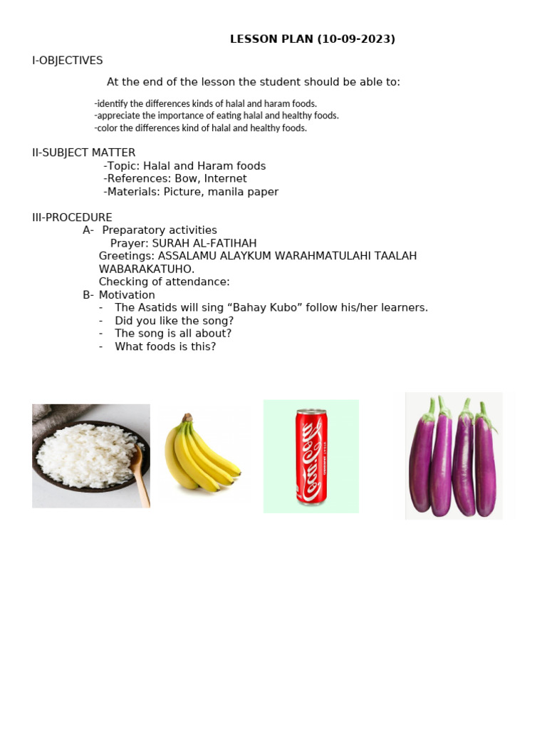 Farida Lesson Plan | PDF