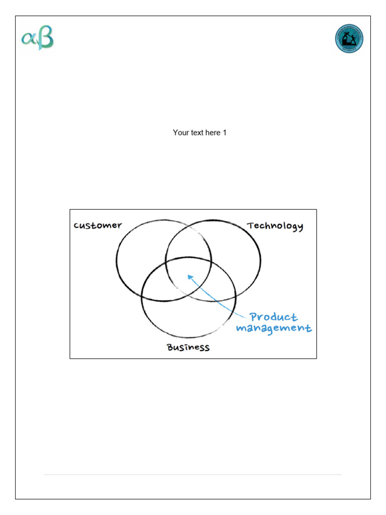 Product Management - Alpha Beta | PDF