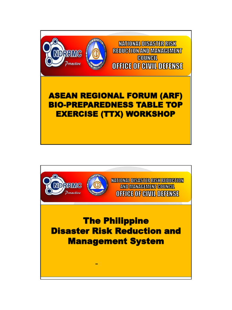 Annex B.1 Philippine Disaster Risk Reduction and Management System ...